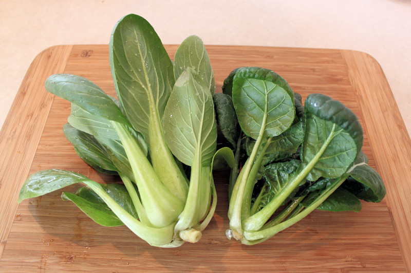 Growing Asian Vegetables: Pak Choi | Happy Acres Blog