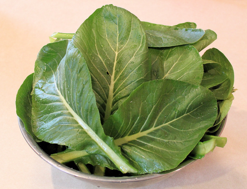 Growing Asian Vegetables: Komatsuna | Happy Acres Blog