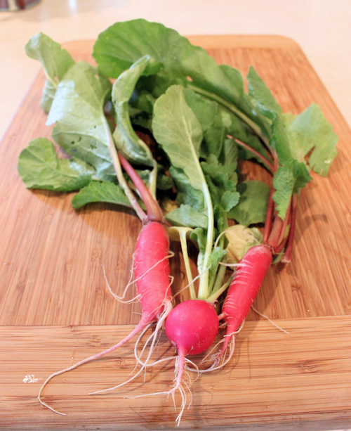 aprilradishes | Happy Acres Blog