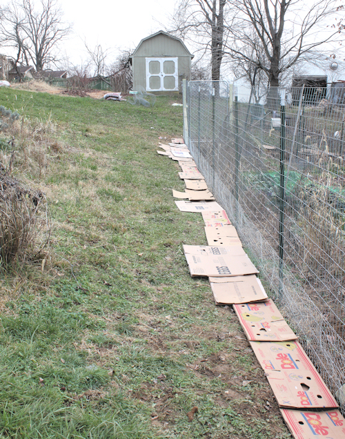 newfencecardboard | Happy Acres Blog