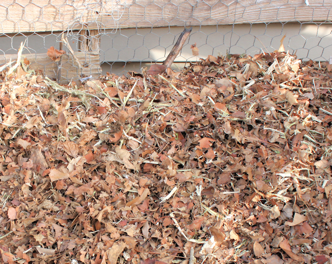 shreddedleaves | Happy Acres Blog