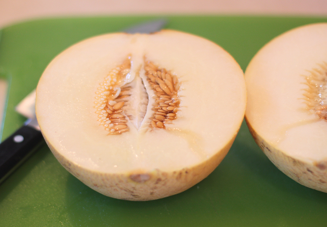 Monday Recap: Melon Madness | Happy Acres Blog