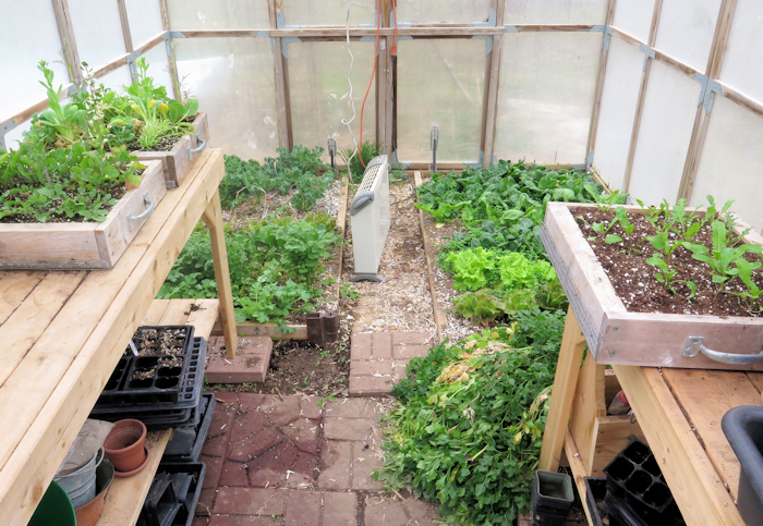 March Greenhouse Tour | Happy Acres Blog