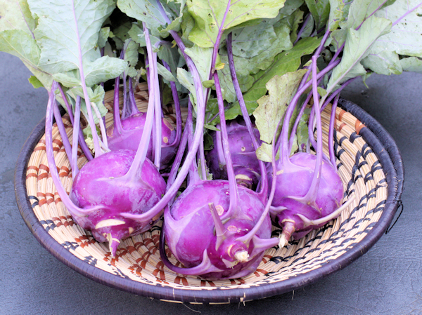 kolibrikohlrabijun15 | Happy Acres Blog