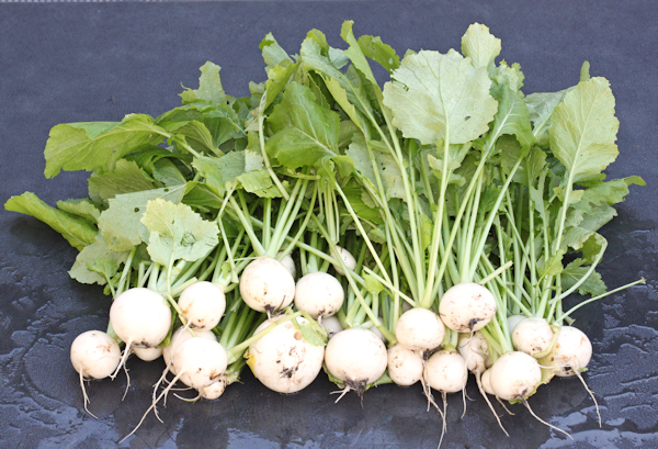 oasisturnipoct15 | Happy Acres Blog