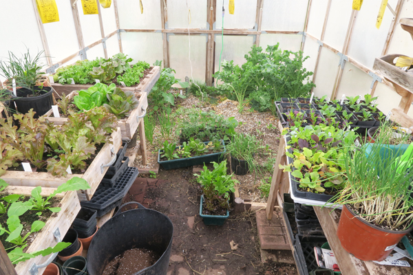 April Greenhouse Tour | Happy Acres Blog