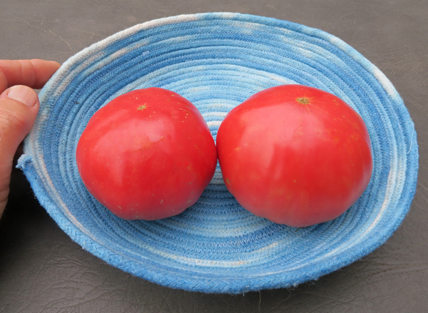 Harvest Monday August 13, 2018 – Happy Acres Blog