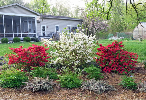 April Garden Tour | Happy Acres Blog