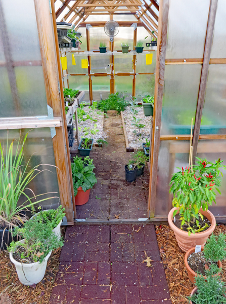 Late October Greenhouse Tour | Happy Acres Blog
