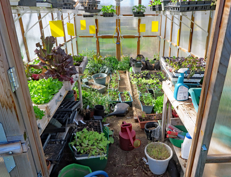 April Greenhouse Tour | Happy Acres Blog
