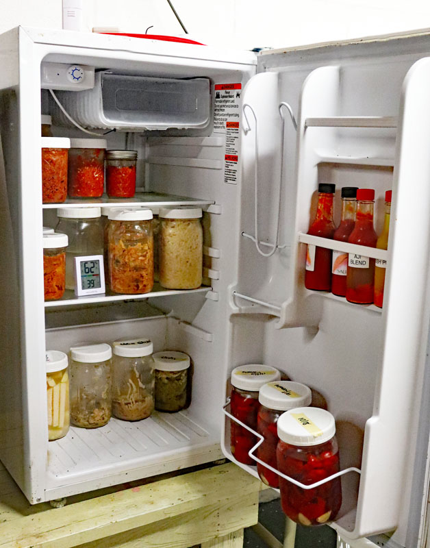 Fermenting the Harvests | Happy Acres Blog